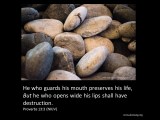 The Proverbs Project
